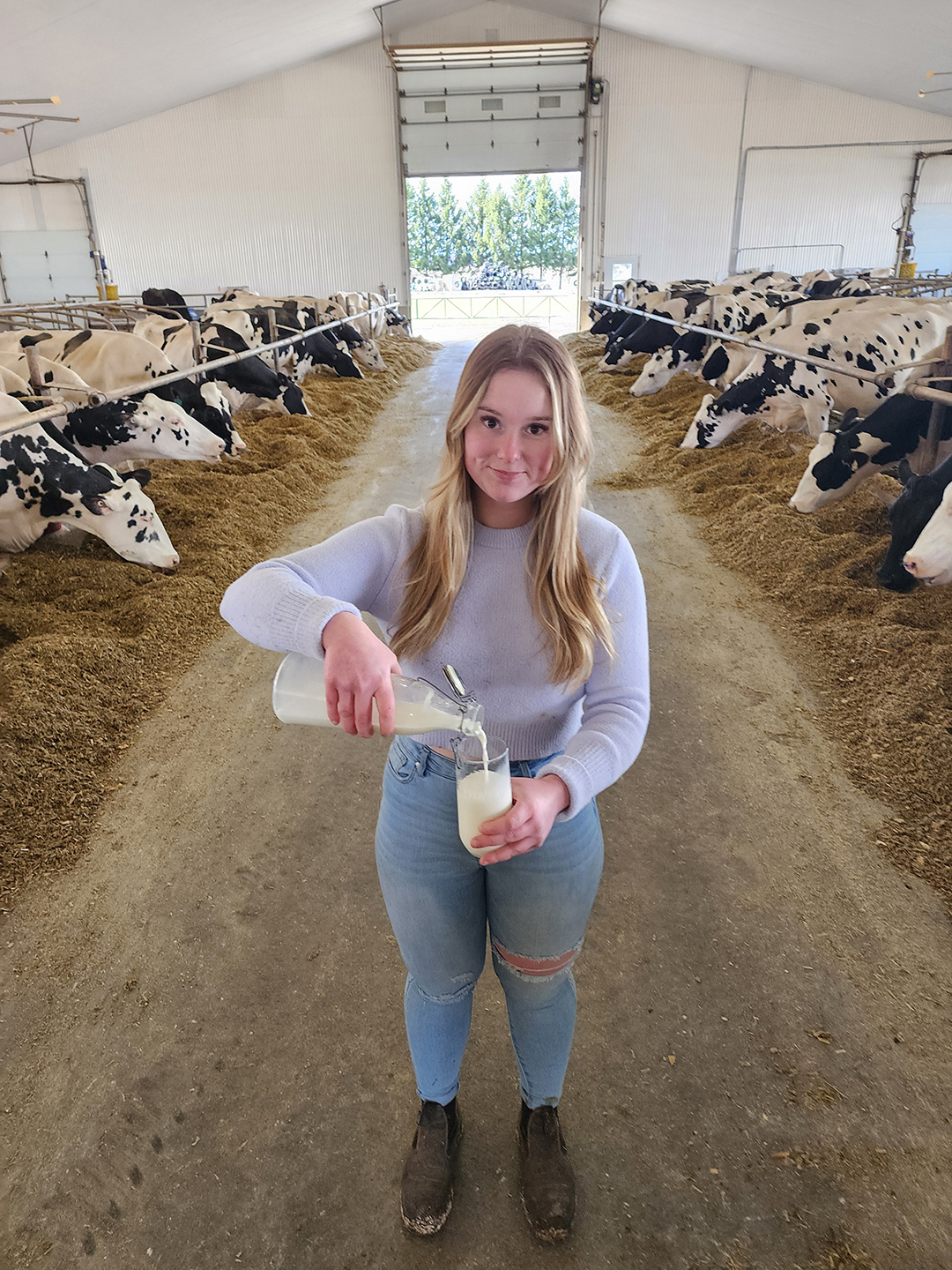 Antibiotics in Canadian Milk? No Thanks | Dairy Nutrition